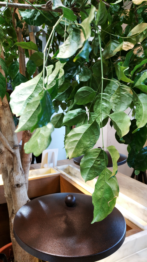 日系 2K 大螢幕，夏普在台推出新機 Sharp Z3！ - 自由電子報 3C科技