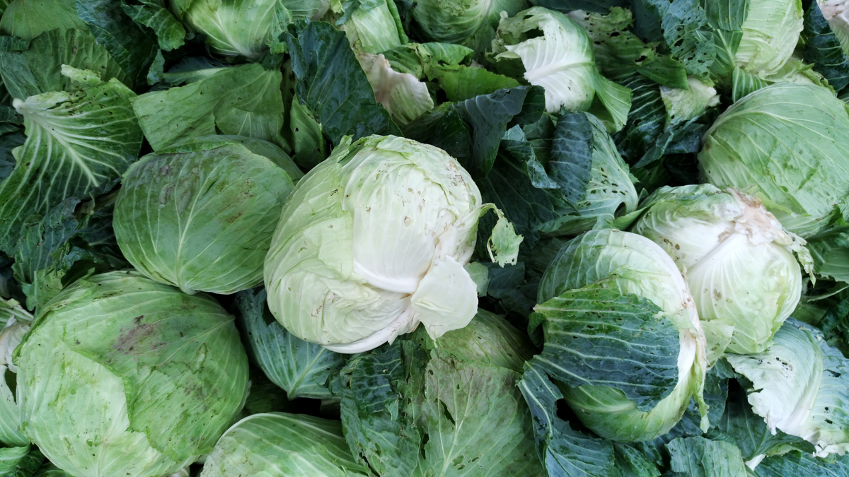 驚喜不斷的中階旗艦？Sharp Z3 四大特點評測！ - 自由電子報 3C科技