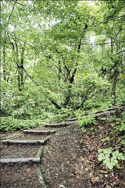 【旅遊】神選祕境之地─日本青森白神山地 - 自由藝文網