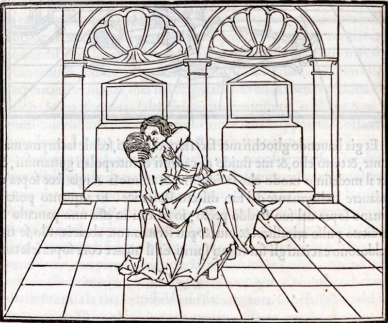 鍾芳玲／最美麗、最難讀之書——《尋愛綺夢》 - 自由藝文網