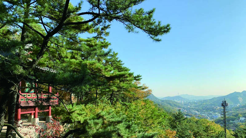 別只衝明洞！BTS、李孝利都著迷「寺廟旅宿」 MBTI盲選「命定避風港」旅行更有哏 - 自由藝文網