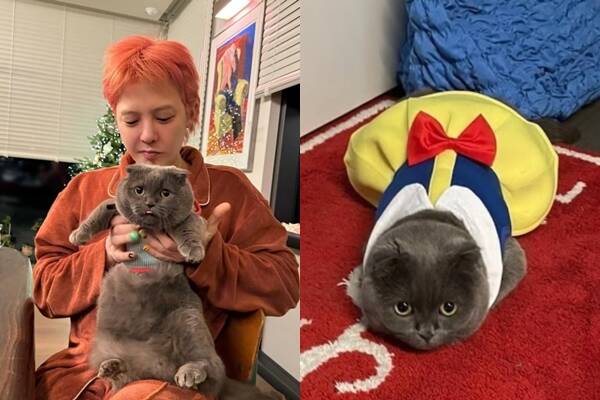 GD愛貓Zoa出道了！「全球巡迴」台北站8月見 - 自由娛樂