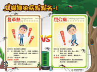 都靠蚊子傳播》登革熱vs.屈公病有何不同 看圖秒懂