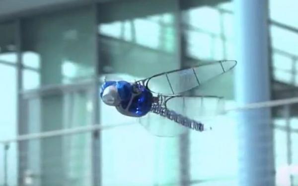 仿真技術再進化 高科技蜻蜓BionicOpter問世 - 生活 - 自由時報電子報