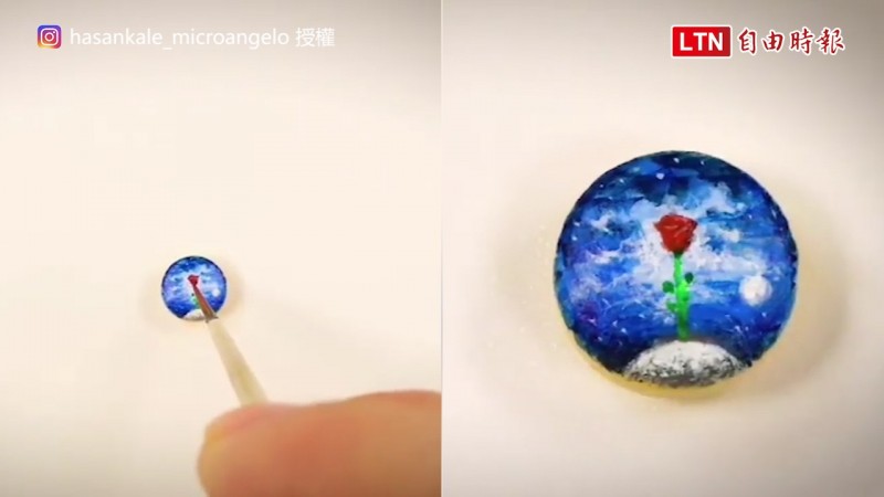 藥丸也可以拿來畫畫？ 欣賞前要先準備放大鏡的微型藝術 - 生活 - 自由時報電子報