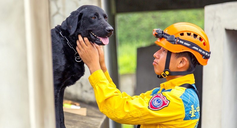 《TAIPEI TIMES》 Retired rescue dogs can be adopted by the public - 焦點 ...