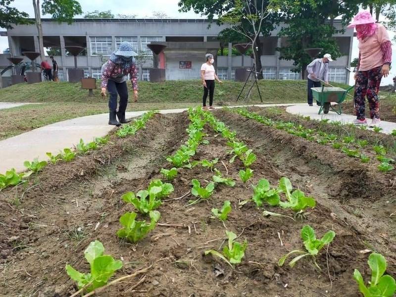 嘉義布袋廢校大變身 結合食農體驗獲建築園冶獎 - 生活 - 自由時報電子報