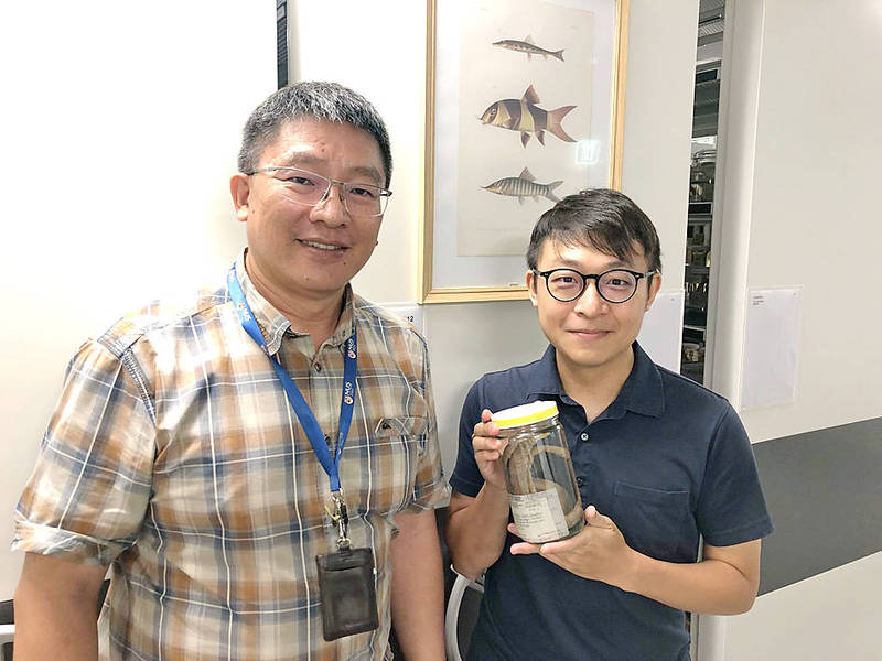 《TAIPEI TIMES》 Researchers find new moray species in unique setting ...
