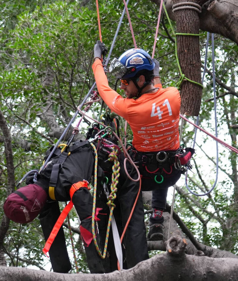 台灣TWTCC攀樹國際錦標賽 日美等9國攀樹師競技 - 生活 - 自由時報電子報