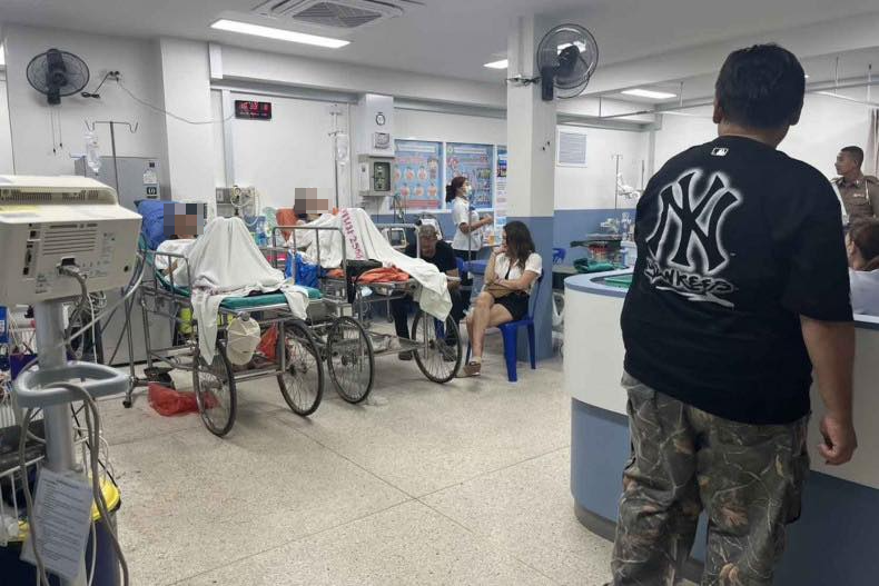 路邊野果別亂吃！ 7俄羅斯人誤食「小黃果」中毒 網：猴子反而沒事 - 國際 - 自由時報電子報