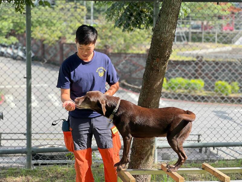 New Taipei City search and rescue handler and dog achieve life-saving ...