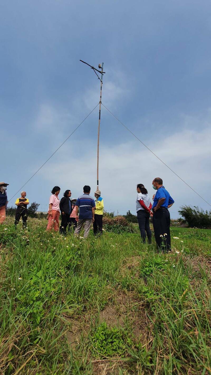 曾錄下黑翅鳶「曬恩愛」畫面 苗栗通灣重啟棲架迎稀有猛禽回歸 - 自由電子報影音頻道