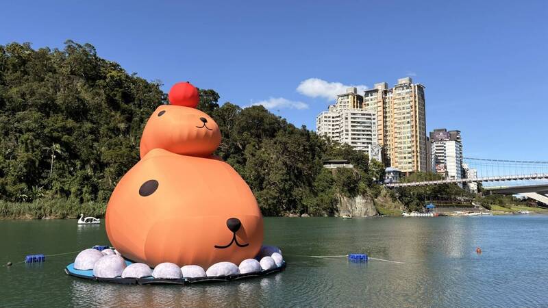 「呆在碧潭の水豚君」療癒雞蛋糕假日限定 人偶見面會12月登場 - 生活 - 自由時報電子報