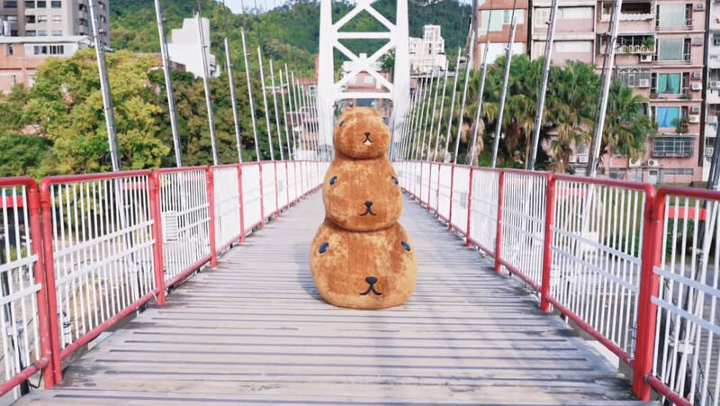 「呆在碧潭の水豚君」療癒雞蛋糕假日限定 人偶見面會12月登場 - 生活 - 自由時報電子報