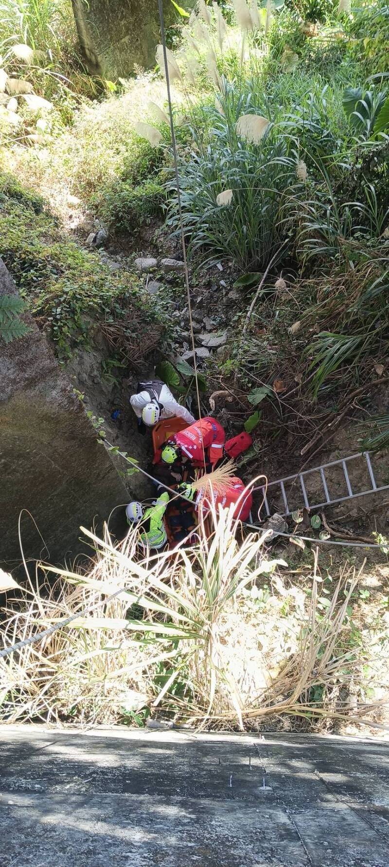騎機車摔落8米深橋下 73歲翁送醫不治 - 臺中市 - 自由時報電子報