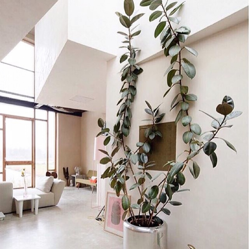 4 - 精選圖輯 - 自由電子報iStyle時尚美妝頻道